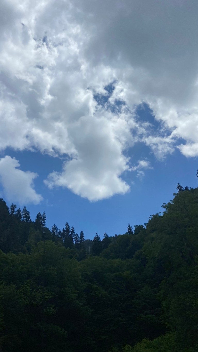 Things to do in Cherokee, Maggie Valley, Gatlinburg and the Smokey ...