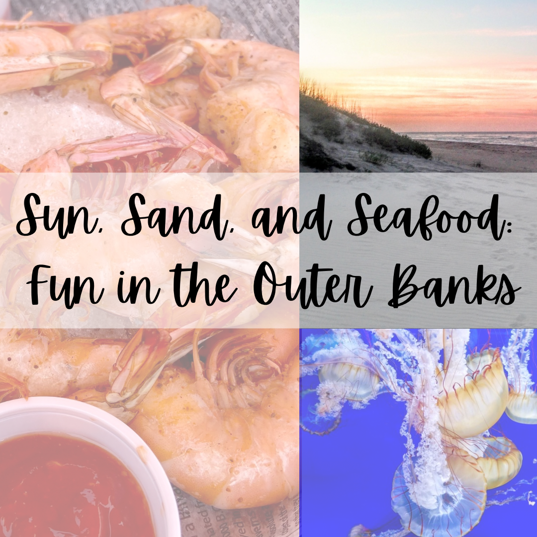 Sun, Sand, and Seafood: Fun in the Outer Banks – The Virginia Hype Girl ...