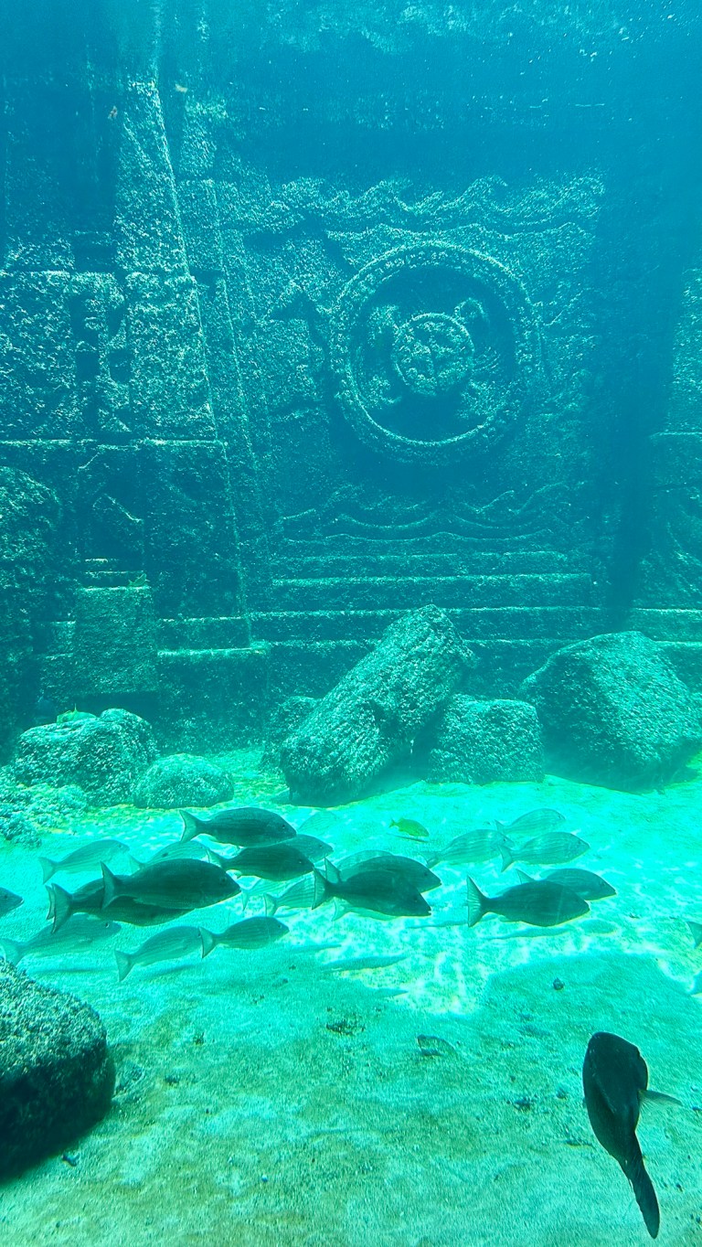 5 Irresistible Reasons Why A Carnival Cruise Should Be Your Next ...